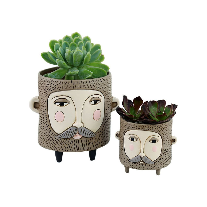 Allen Designs | Planter | Hairy Jack — Delightful Rainglow